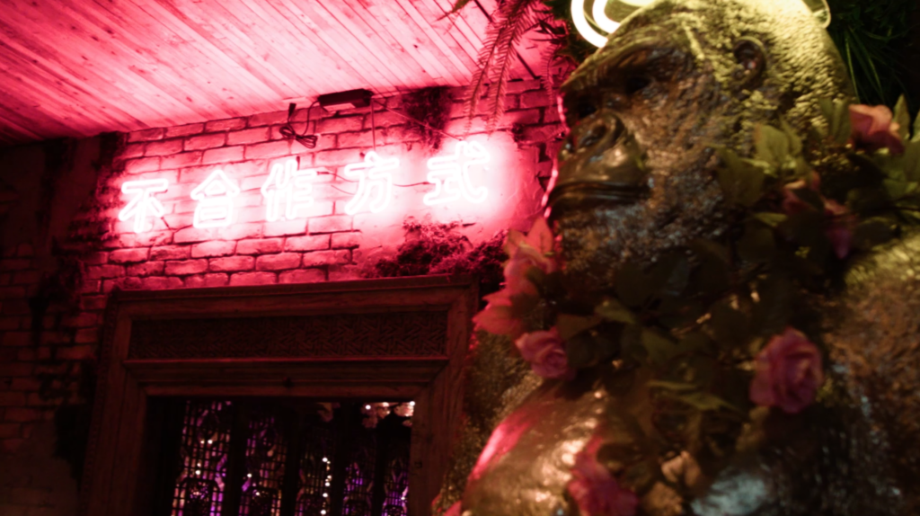 Mandrake Miami Commercial – Adrian Torres Digital